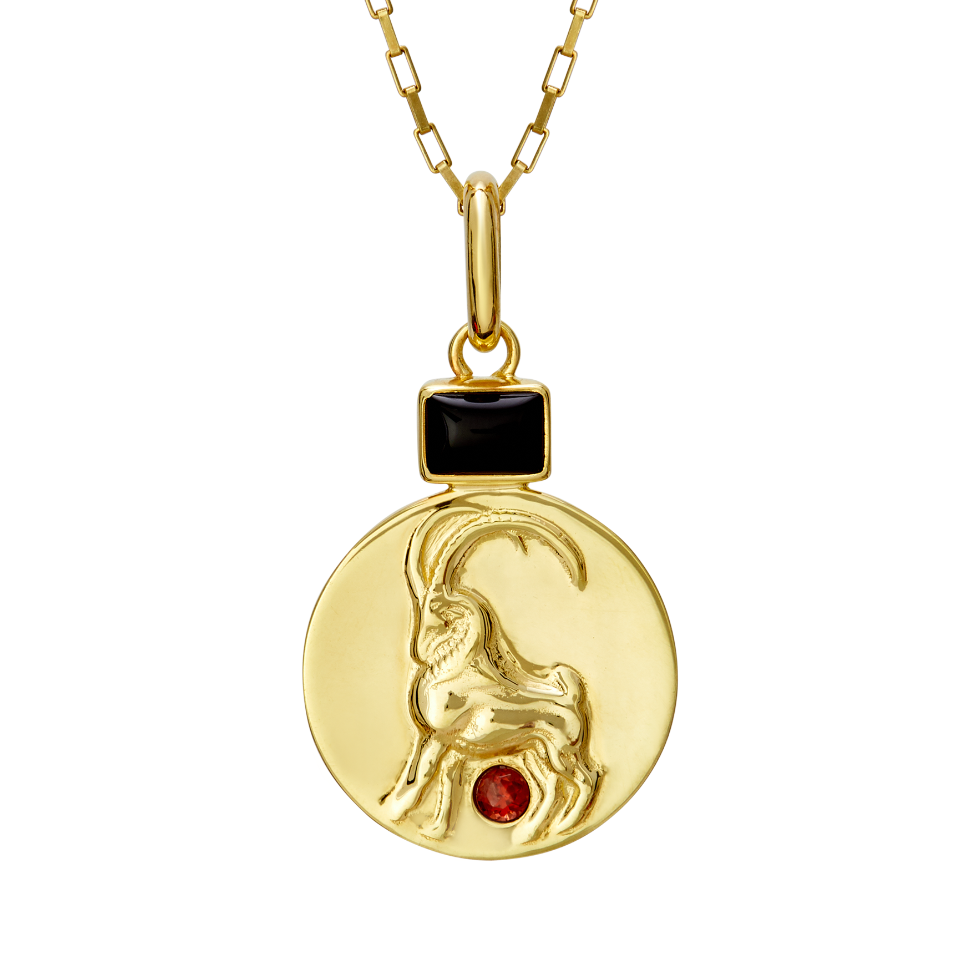 Capricorn birthstone necklace store